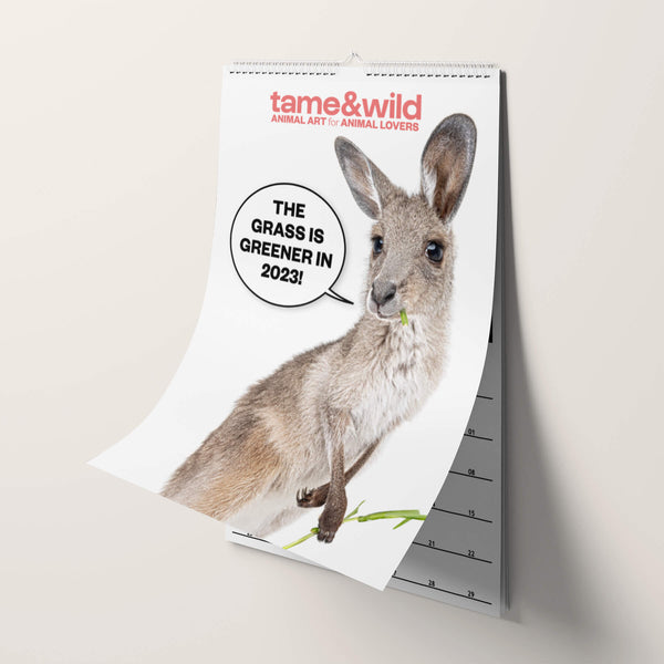 Calendars - Tame and Wild Studio